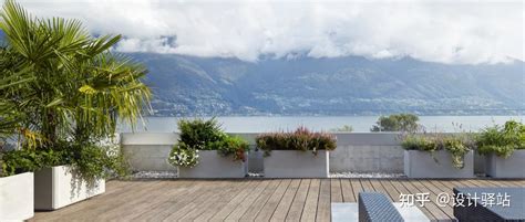 什么是竹木？ 知乎