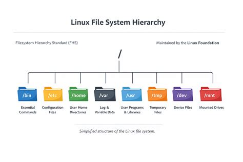 Linux File System Explained A Beginners Guide To Every Directory By