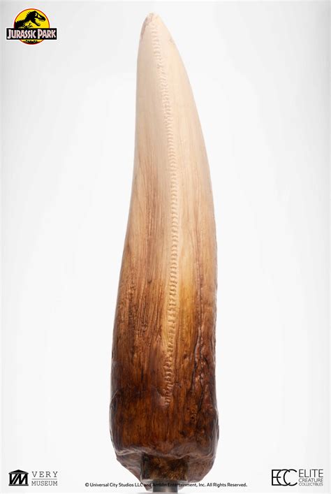 Jurassic Park T Rex Tooth Reproduction Cinemaquette Bringing The