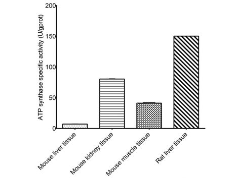 Mitochondrial Complex Ⅴ F0f1 Atpaseatp Synthase Activity Assay Kit