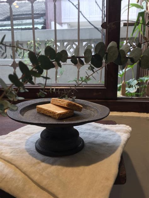 小院子的日常 你們也喜歡尤加利樹嗎？