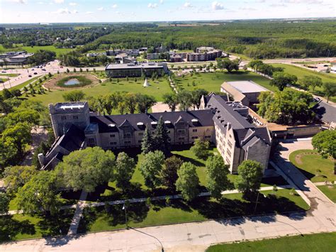Peace News And Releases Cmu