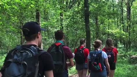 Scouting Zuilen Home