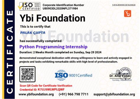 Python Programming Internship 30days Pdf