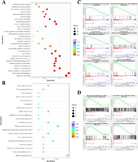 Transcriptome Study Of Schwann Cells A Scatter Diagram Of Go