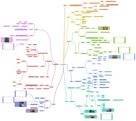 Adaptation Paden Coggle Diagram