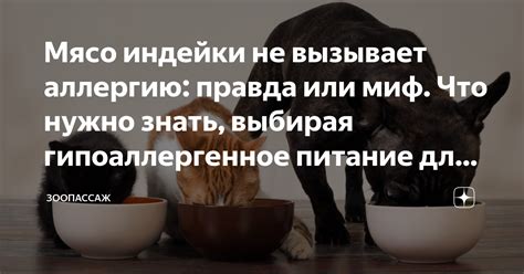 Мясо индейки не вызывает аллергию: правда или миф. Что нужно знать ...