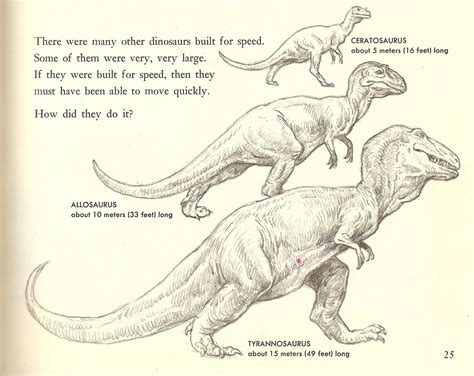 Pre Jurassic Park T Rex Designs — Mrjakeparkercom