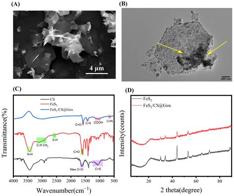 Molecules Free Full Text Dual Enzyme Cascade Composed Of Chitosan Coated Fes2 Nanozyme And