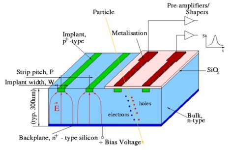5 Schematic Representation Of A Semiconductor Microstrip Detector