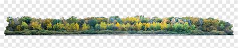 Trees Forest Autumn Fall Color Colorful Foliage Treeline Woods Nature Png PNGEgg