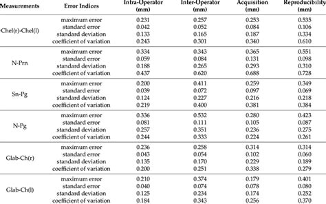 Error Magnitude Statistics The Table Shows The Descriptive Statistics Download Scientific