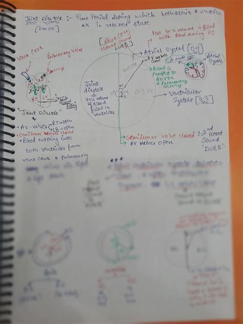 SOLUTION Cardiac Cycle Complete And Heart Sounds Studypool