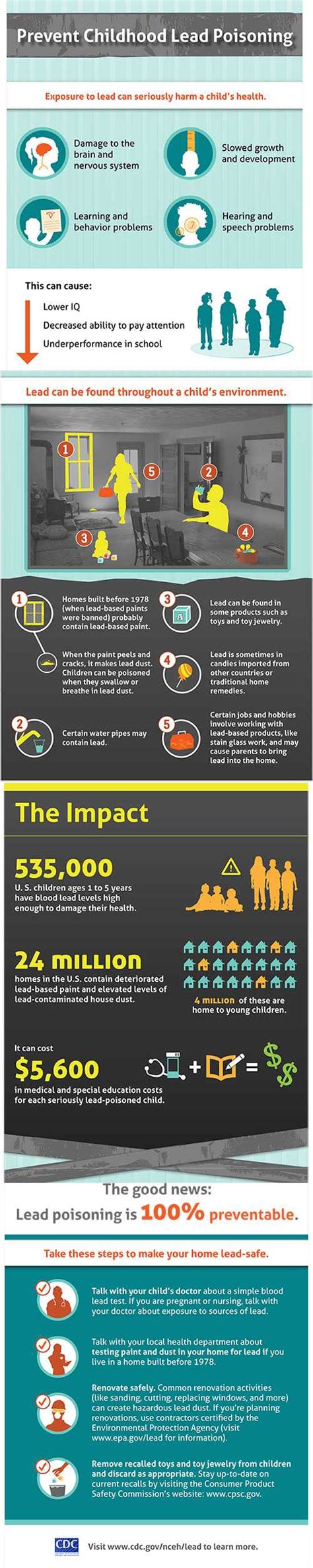 Cdc Lead Infographic