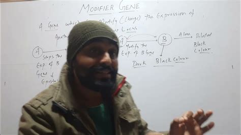 Modifier Gene Genetics Youtube