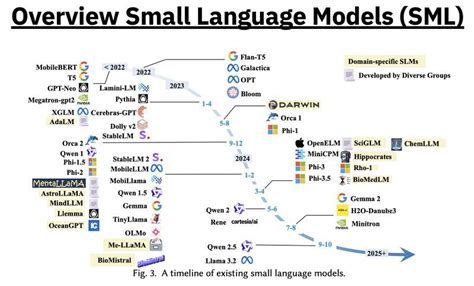 Overview Small Language Models Paulo Cysne