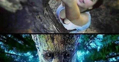 I Am Groot ‿ Album On Imgur