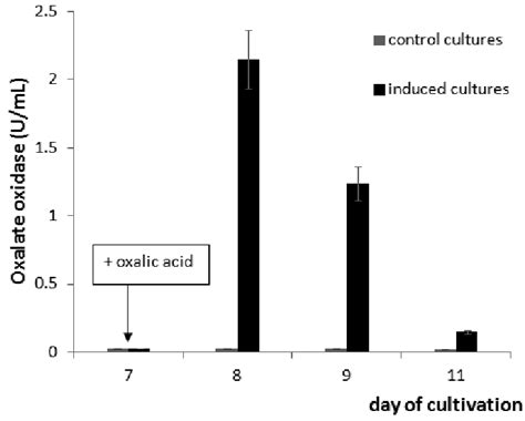 Intracellular Oxalate Oxidase Activity In The Control And Induced With