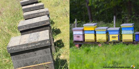 How To Set Up An Apiary Bee Yard Carolina Honeybees