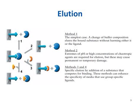 Affinity Chromatography Principles And Applications Ppt Chemistry Science