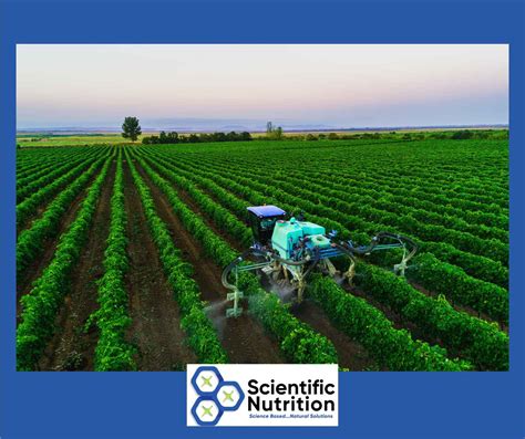 Bioengineered Foods And Bt Toxins Are Destroying Your Health