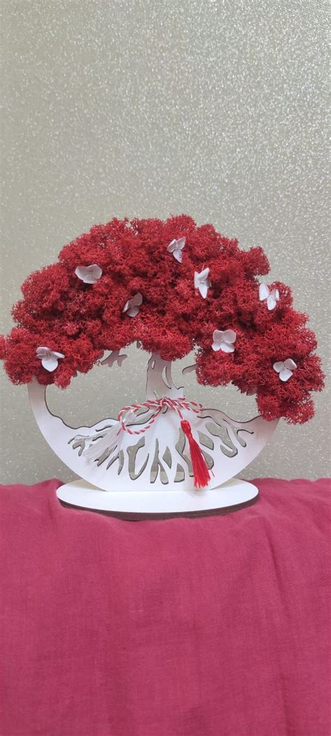 Mini Copac Aniversar Cu Licheni Breslo