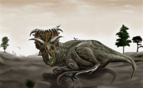 The Top 10 Weird Dinosaurs