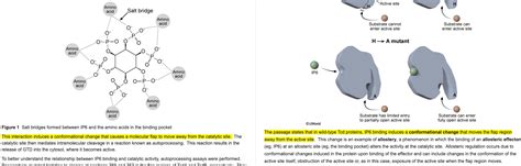 Catalytic Site Vs Active Site Vs Substrate Binding Site R Mcat