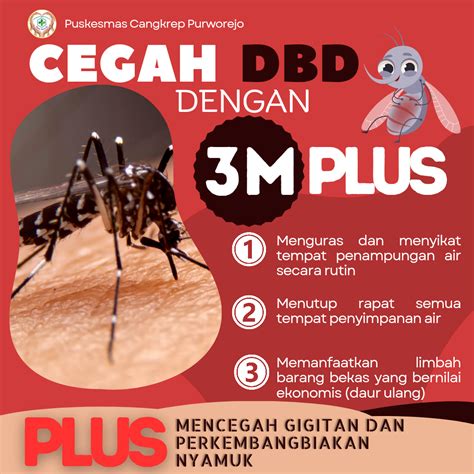 Cegah Dbd Dengan 3m Plus