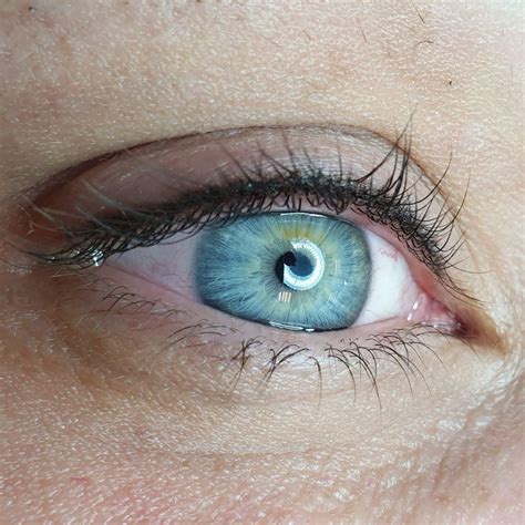 Microblading And Brow School Home Facebook