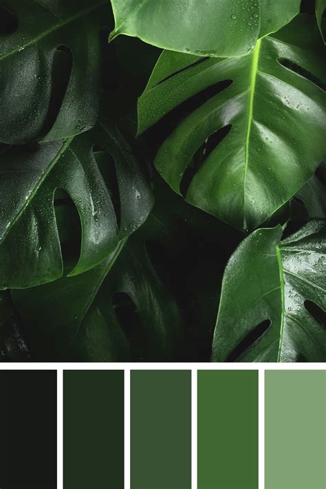 Green Earth Tone Color Palette Color Scheme Generator Color Scheme