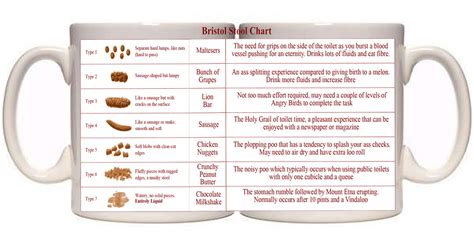 Bristol Stool Chart English
