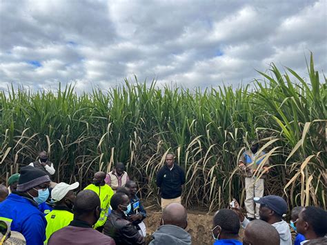 Thank You Zambia 🇿🇲 A Cosmocel Specialized Nutrition Thank You Zambia 🇿🇲 A Cosmocel Specialized Nutrition