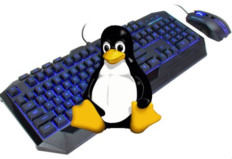 How To Turn Keyboard Backlight On GNU Linux Keyboard No Backlight Solution Walking In