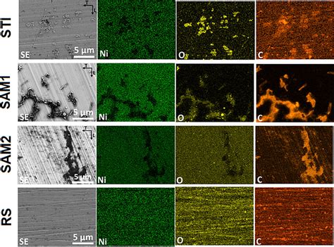 Eds Mapping Of Rs Surface In T L Plane Of Cw 316l Ss Showing Main