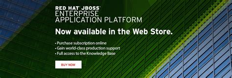 JBoss Developer