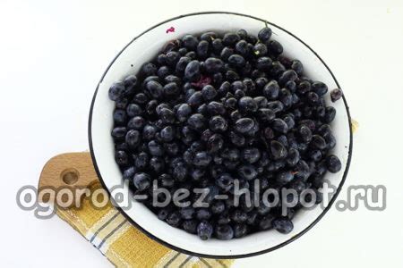 Виноградный сок без соковыжималки, как сделать в домашних условиях