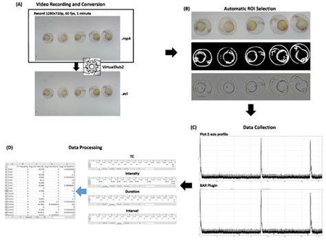 Biomolecules Free Full Text Tcmacro A Simple And Robust Imagej Based Method For Automated