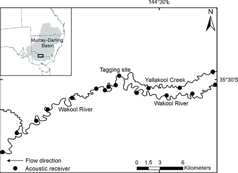 location of the acoustic receiver array on the wakool river and