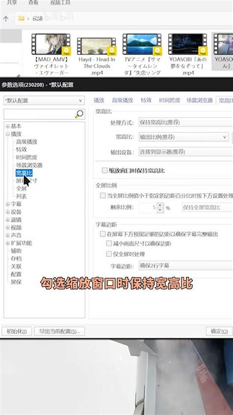 你根本不懂potplayer，细选最适合国人的15项隐藏设置 哔哩哔哩