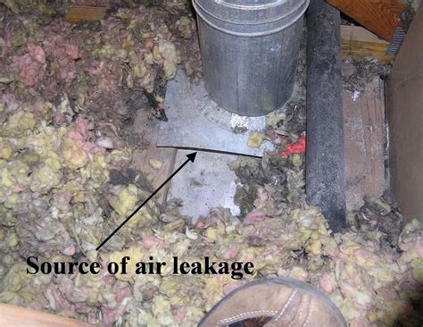 Mold In The Attic