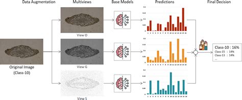 fossil image identification using deep learning ensembles of data augmented multiviews hou