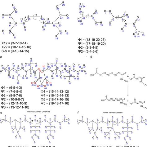 Monopeptide Input Conformation And The Anti Input Conformation Download Scientific Diagram