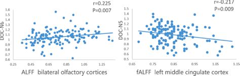 Partial Correlations Between Rois And Neuropsychological Performances