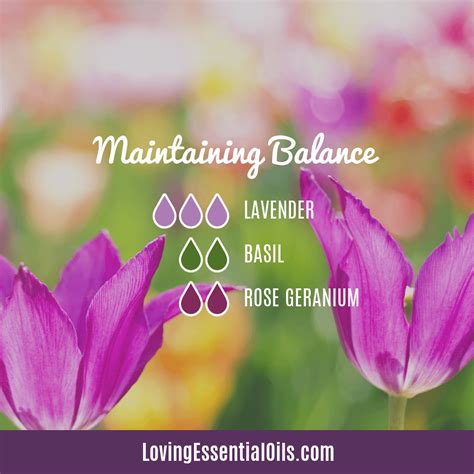 Basil Essential Oil Uses Benefits And Diffuser Blends Loving