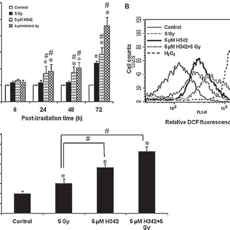 Effects Of Hoechst 33342 H342 On Proliferation And Cell Cycle