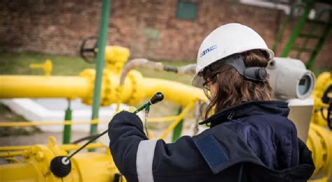 Camuzzi Regresa Al Mercado La Emisión Que Sorprende Al Sector Energético El Economista