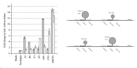 Effect Of Different Helper Probes On Hybridization Efficiency Signals