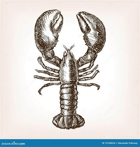 Lobster Hand Drawn Sketch Style Vector Stock Vector Illustration Of