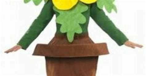 Floweyirl Album On Imgur